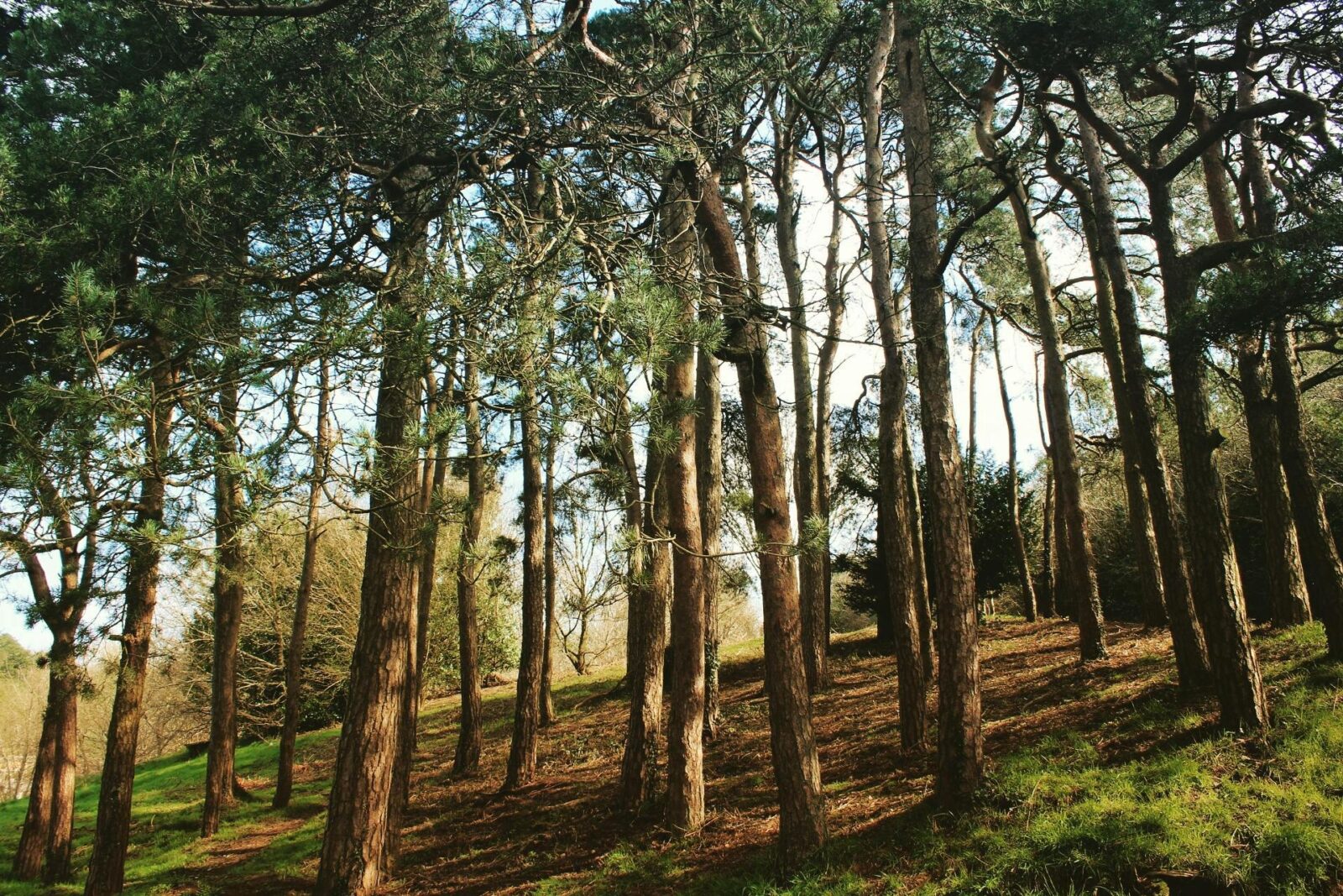 Extroversion Is (Still) the Ideal We're Supposed to Pursue in Life